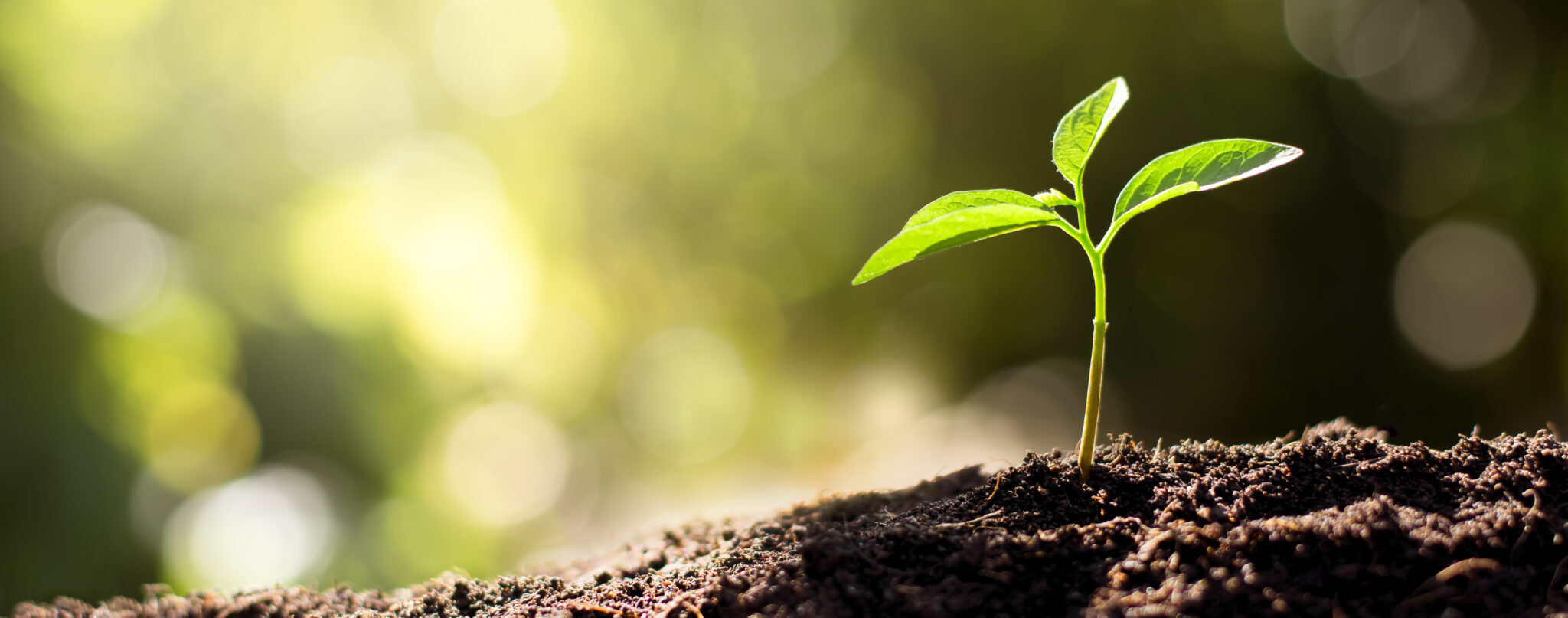 Sustainable Logistics | GLB’s Commitment to a Greener Future